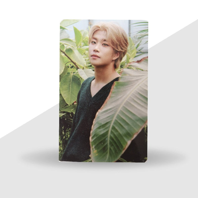 ASTRO - All Light - Official Photocard | Kpop Music